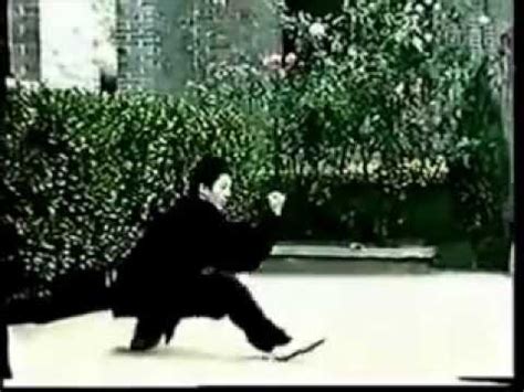杨班侯太极拳大架低勢贾安树 YouTube