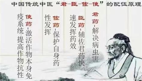 叶面肥是土壤根部施肥的重要补充，影响叶面肥使用效果的因素！ 知乎