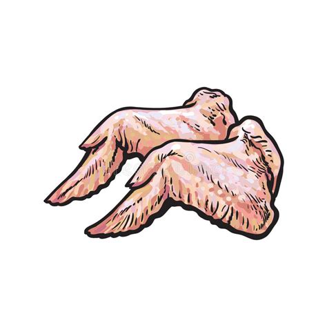 Ejemplo Aislado Bosquejo Del Huevo Del Pollo Del Vector Ilustración Del