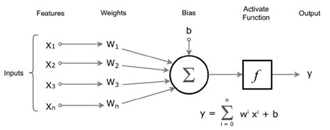 Diagram Of A Perceptron Neuron Download Scientific Diagram