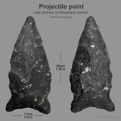 Projectile Point Png Member Collections The Fossil Forum