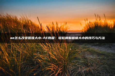 Ae怎么改变图像大小 Ae教程：轻松调整图像大小的技巧与方法 Ae插件合集