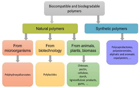 High Quality Biocompatible Polymers For Nanomedicine Boc Sciences