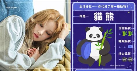 心理測驗「你忙成了哪一種動物？」6題測出睡眠品質，累成「貓熊」黑眼圈遮不住 心理測驗、心測、你忙成了哪一種動物、睡眠品質、活力品質