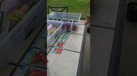 Vegetable Gardening Beginner Superbgardener