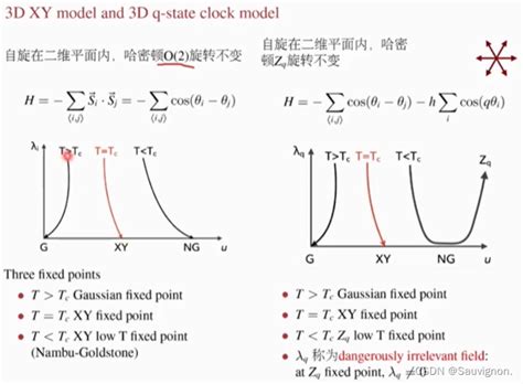 Rg Flow 量子相变讲座局域序参量 Csdn博客