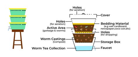 Vermicomposting Definition Types Objectives Process Etc
