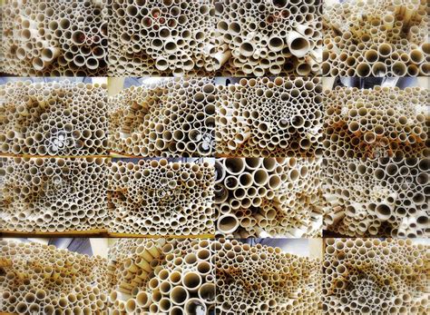 17 Best Images About Parametric And Generative Design On Pinterest