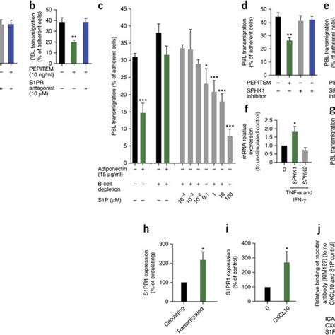 Schematic Depicting B Cellmediated Regulation Of T Cell Trafficking