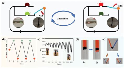 Demonstration Of Precise Performance Of The Pmd Hydrogel Actuator Under