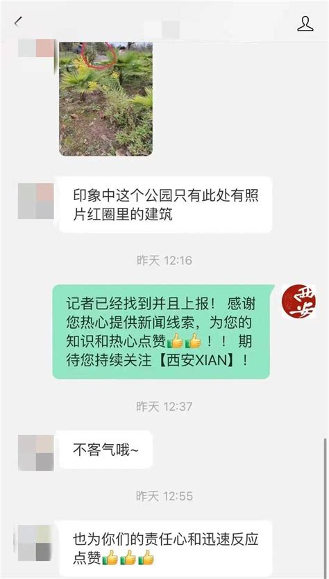 全面普查！物种入侵植物