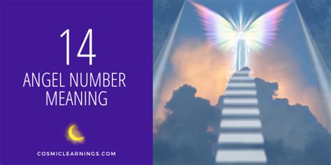 14 Angel Number Meaning Spirituality Symbolism Numerology Money