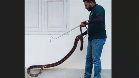 അ പ ക ട ക ര മാ യ ജോ ലി എ ങ്കി ലും വി ശ്വാ സ ത്തോ ടെ ജ നം വി ളി ക്കു മ്പോ ൾ എ ങ്ങ നെ പോ കാ തി രി