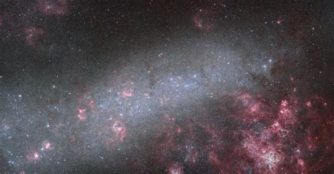 Large Magellanic Cloud Telescope Live
