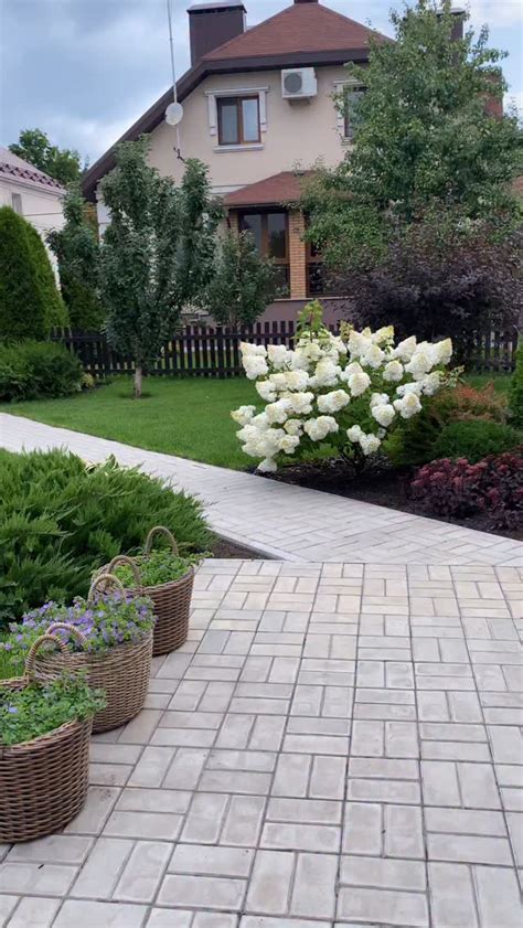 Хоста всегда отличалась в моем саду неприхотливостью Но чтобы получить более густую листву ну