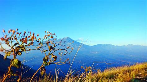 Tips Mendaki Gunung Bekel