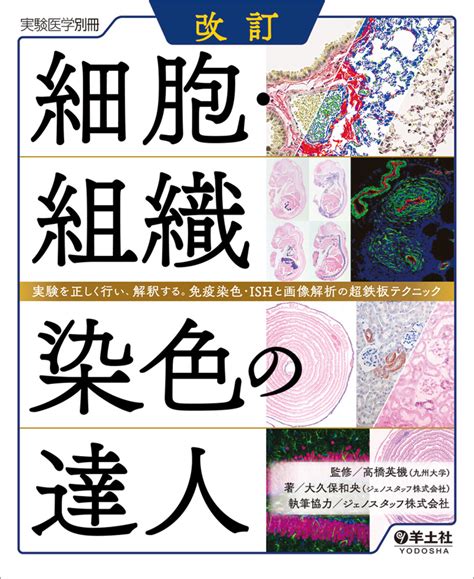 実験医学別冊：改訂 細胞・組織染色の達人〜実験を正しく行い、解釈する。免疫染色・ishと画像解析の超鉄板テクニック 羊土社