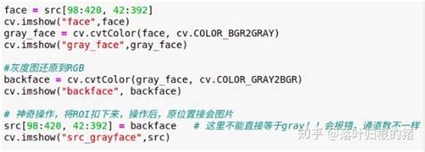 Opencv Roi