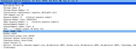 Tcp Segment Just Do It