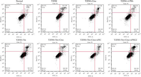 Cinaciguat Showed Osteoprotective Effects Via Pkg2 By Suppressing Er