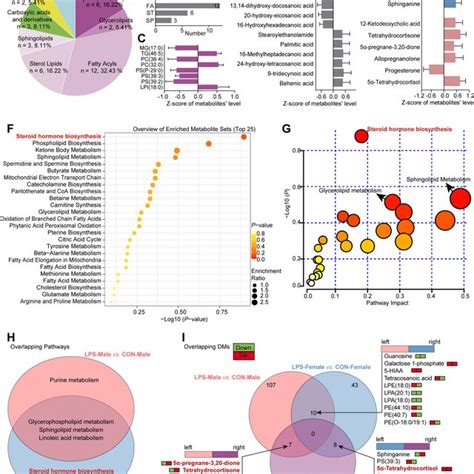 The Hypothalamic Steroid Hormone Biosynthesis Is Significantly Affected