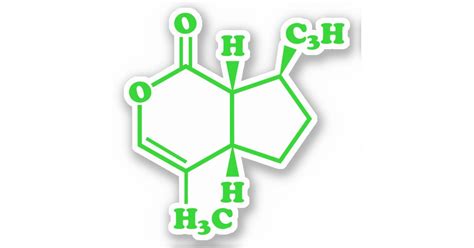 Catnip Nepetalactone Molecular Chemical Formula Zazzle