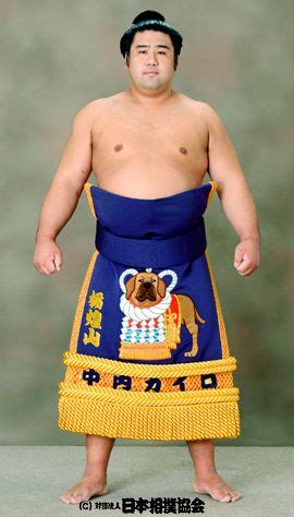 Kesho Mawashi Sumo Wrestler Japanese Wrestling Japanese Culture