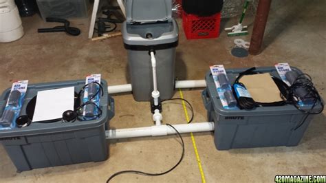 Cannabis 1 S DIY DWC RDWC 420 Magazine