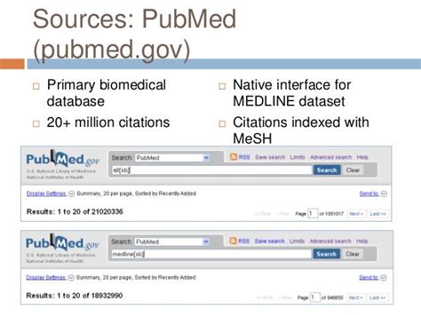 systematic review searches