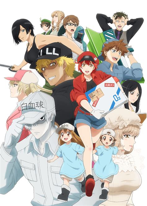 はたらく細胞で勉強しましょ みんなアニメが好きなのよ