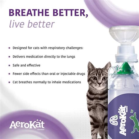 Aerokat Inhaler – Better Living for Cats with Aerosol Inhaler