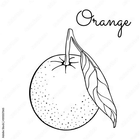 Clementine Coloring Pages [2025]