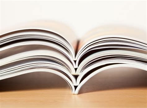 Poultry Science Association Modern Poultry