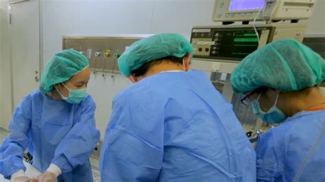 Intra Operative Neural Monitoring Of Thyroid Surgery In A Porcine Model