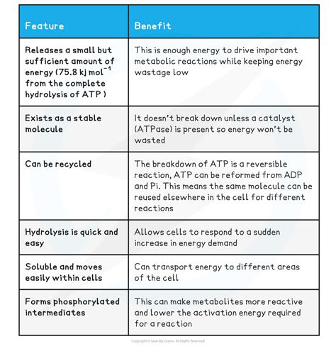 Hydrolysis Synthesis Of ATP AQA AS Biology Revision Notes 2016