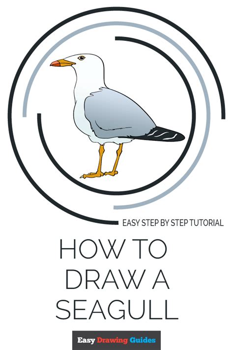 How To Draw A Seagull Really Easy Drawing Tutorial