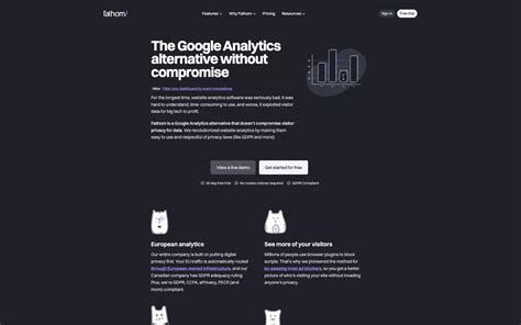 Fathom Analytics Vs Google Analytics Dolphiq The Software Tailors