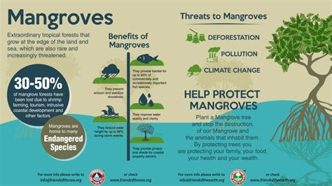 Mckee 2025 Co2 Mangrove Bay Teddi Garnette
