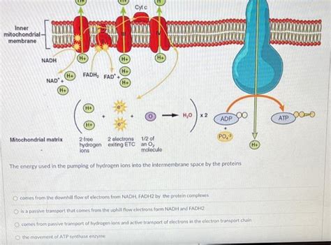 Solved Need Help Thank You The Energy Used In The Pumpi