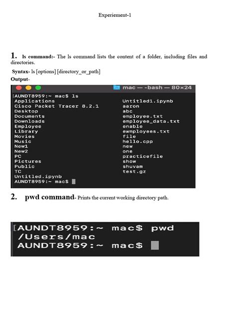 Os Exp1 Pdf Computer File Directory Computing