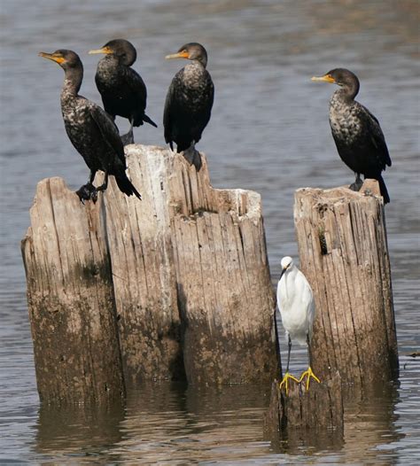 Croods Eep Feet Photos Download The Best Free Croods Eep Feet Stock