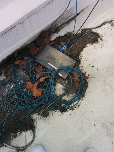 Found Switch Working After Brutal Weather Beating Networking