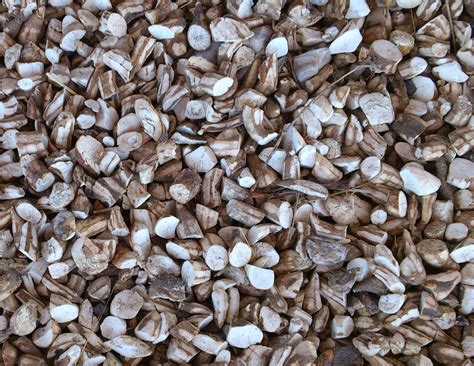 China Wholesale Cassava Chips Dryer Machine Manufacturers And Suppliers