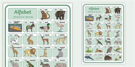 Afrikaanse Diere Alfabet Afrikaans Alphabet Words Twinkl