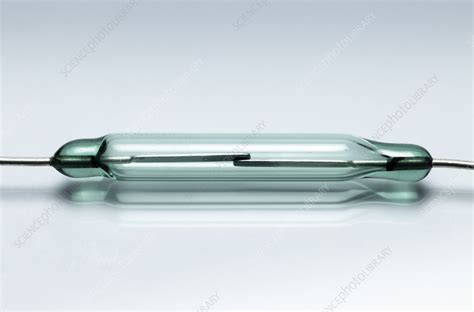 Reed Switch Stock Image C0587058 Science Photo Library