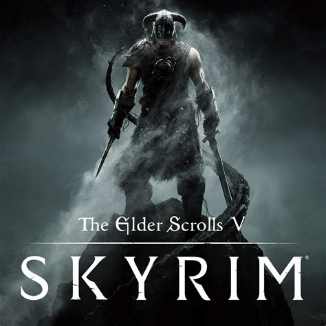 The Skyrim V