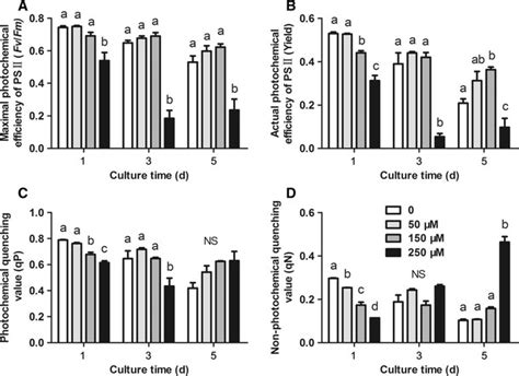 Chlorophyll Fluorescence Parameters Fv Fm A Yield B QP C And QN