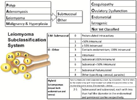 Figo Staging Cervical Cancer Rose Hunter