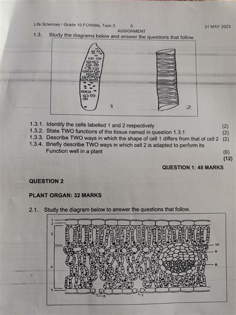 Solved Life Sciences Grade 10 Formal Task 3 5 24 May 2023 Assignment