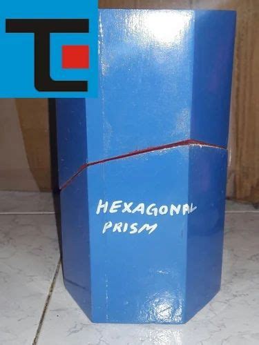 Engineering Graphics Models Dissected At Best Price In Pune Id